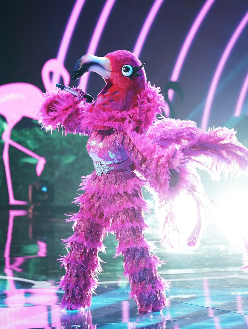 Who Are the Flamingo and Black Widow on The Masked Singer? | PS ...