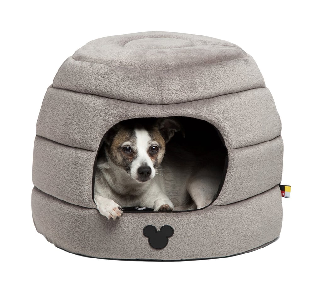 Pretty Pet Products | POPSUGAR Pets