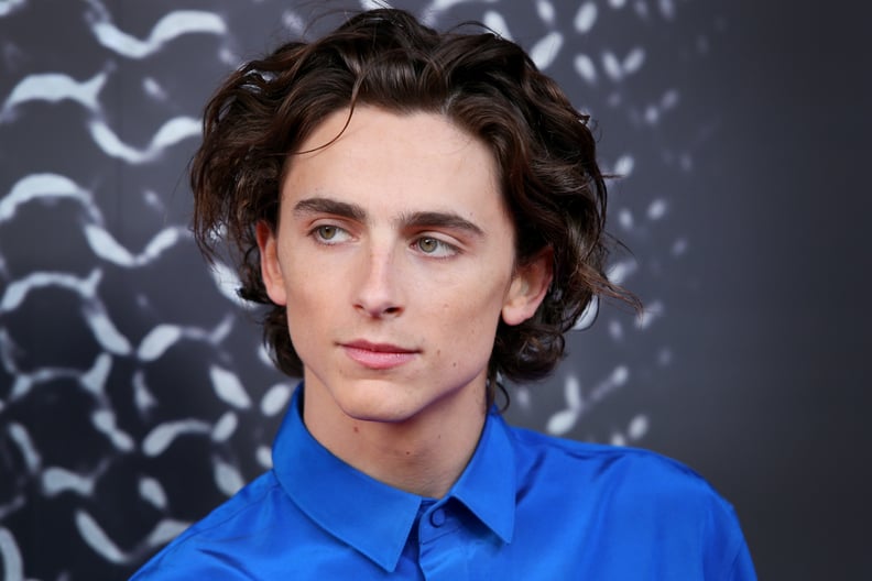An Ode to Timothée Chalamet's Insanely Chiseled Jawline | POPSUGAR ...