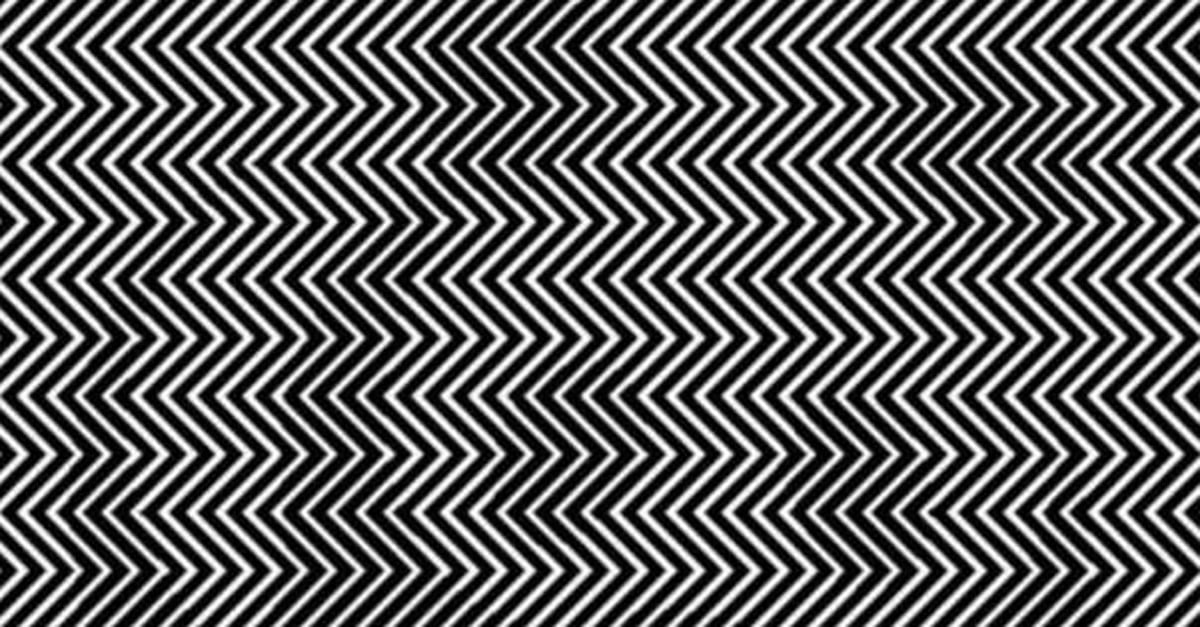 What Animal Do You See? Quiz | PS Tech