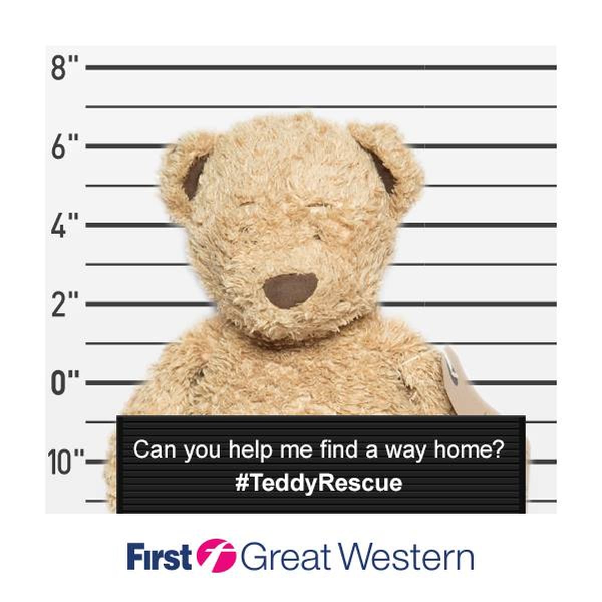 Website Reunites Kids With Lost Toys | PS Family