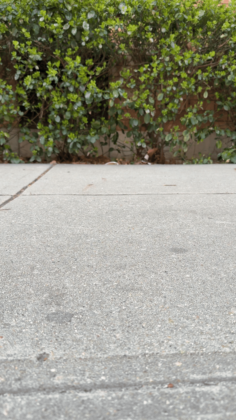 I Tried Sneex, the Viral Sneaker Heels by Spanx’s Founder | PS Fashion