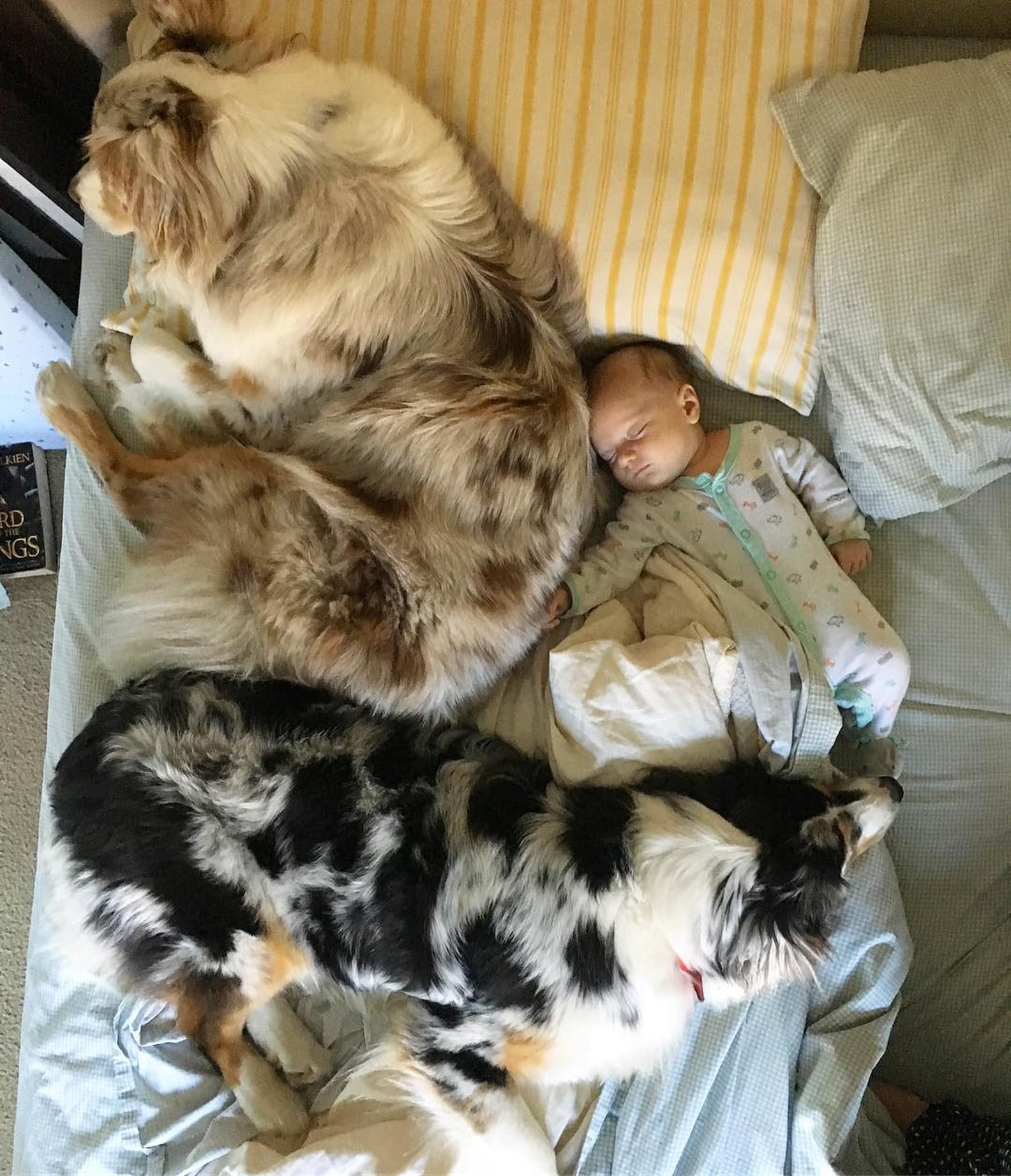 Cute Pictures of Dogs Napping With Kids and Babies | PS Family
