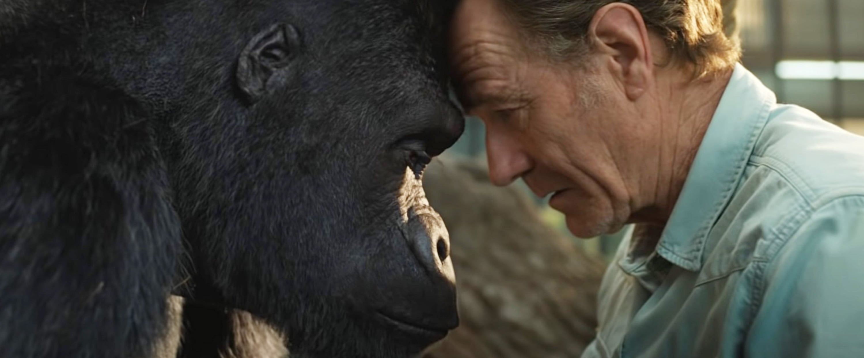 Is the One and Only Ivan a True Story? | POPSUGAR Entertainment