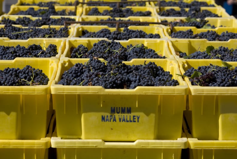 How Is Champagne Made? | POPSUGAR Food