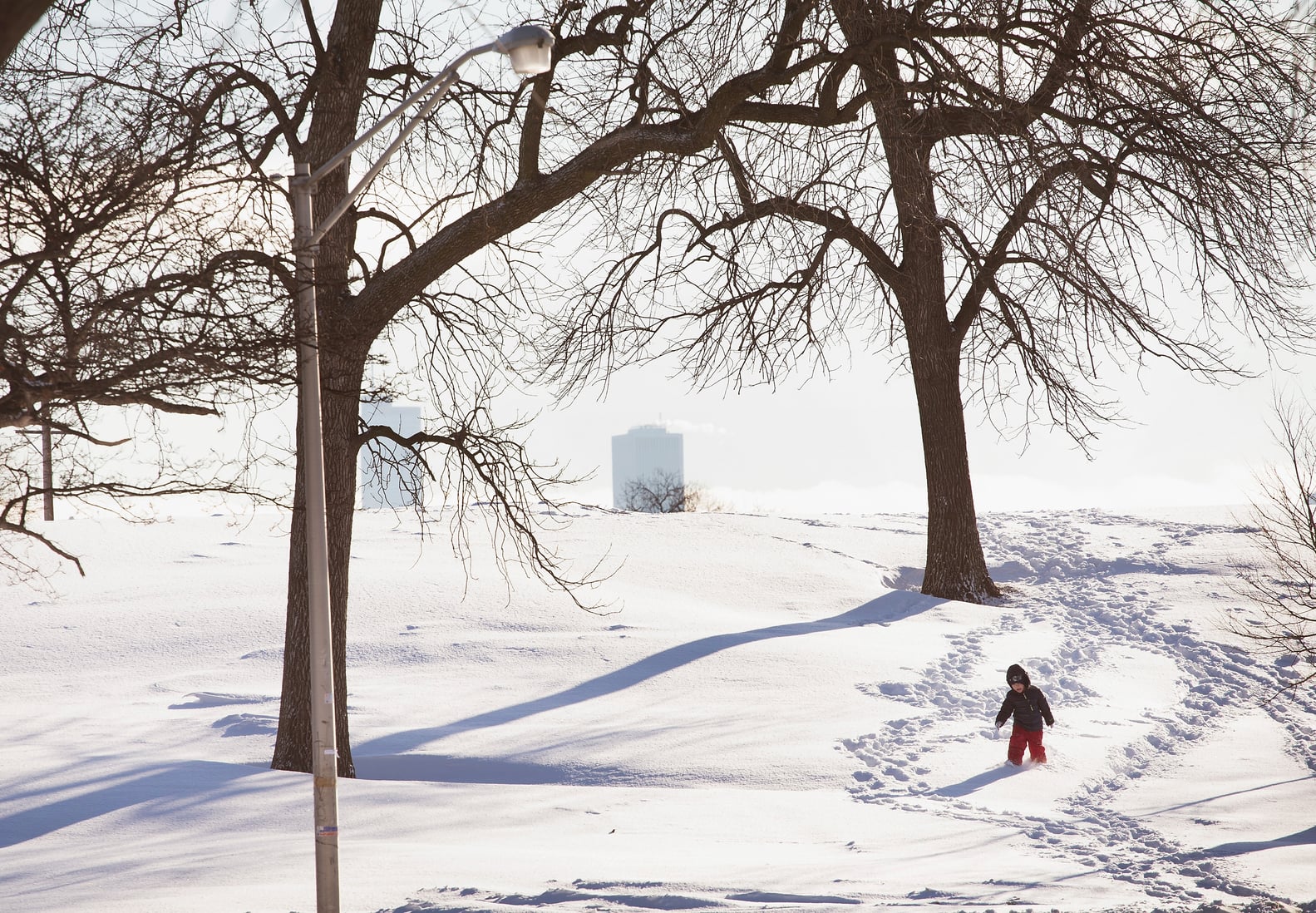 Winter Storm Linus February 2015 | Pictures | PS Celebrity