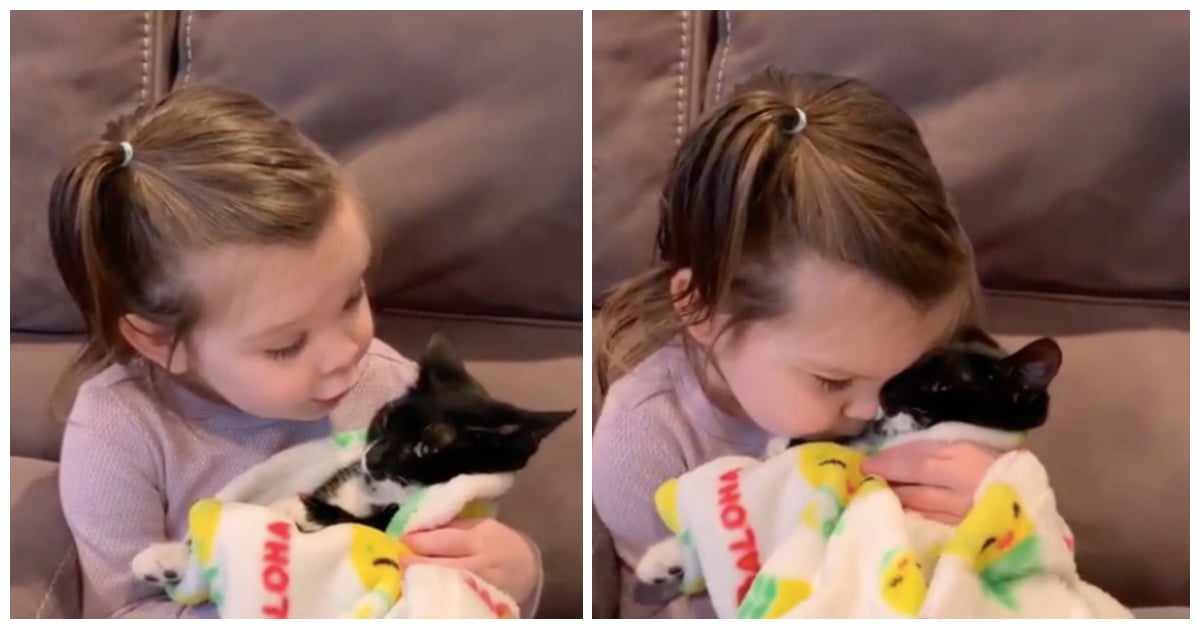 Video of Little Girl Saying Goodbye to Her Cat | POPSUGAR Family