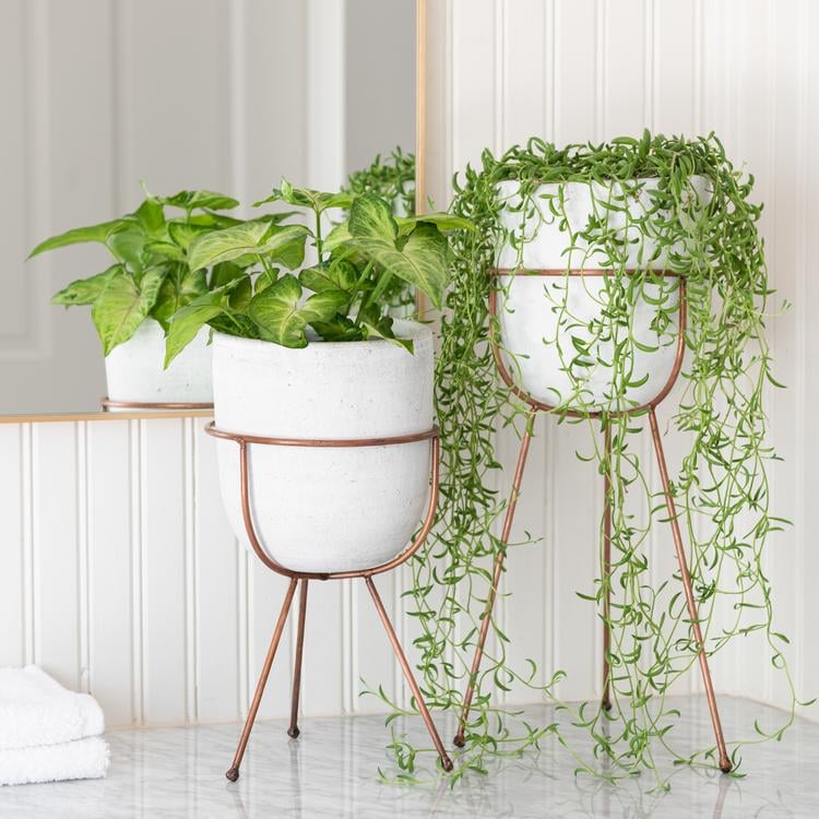 Check Out Magnolia's New Summer 2020 Collection! | POPSUGAR Home