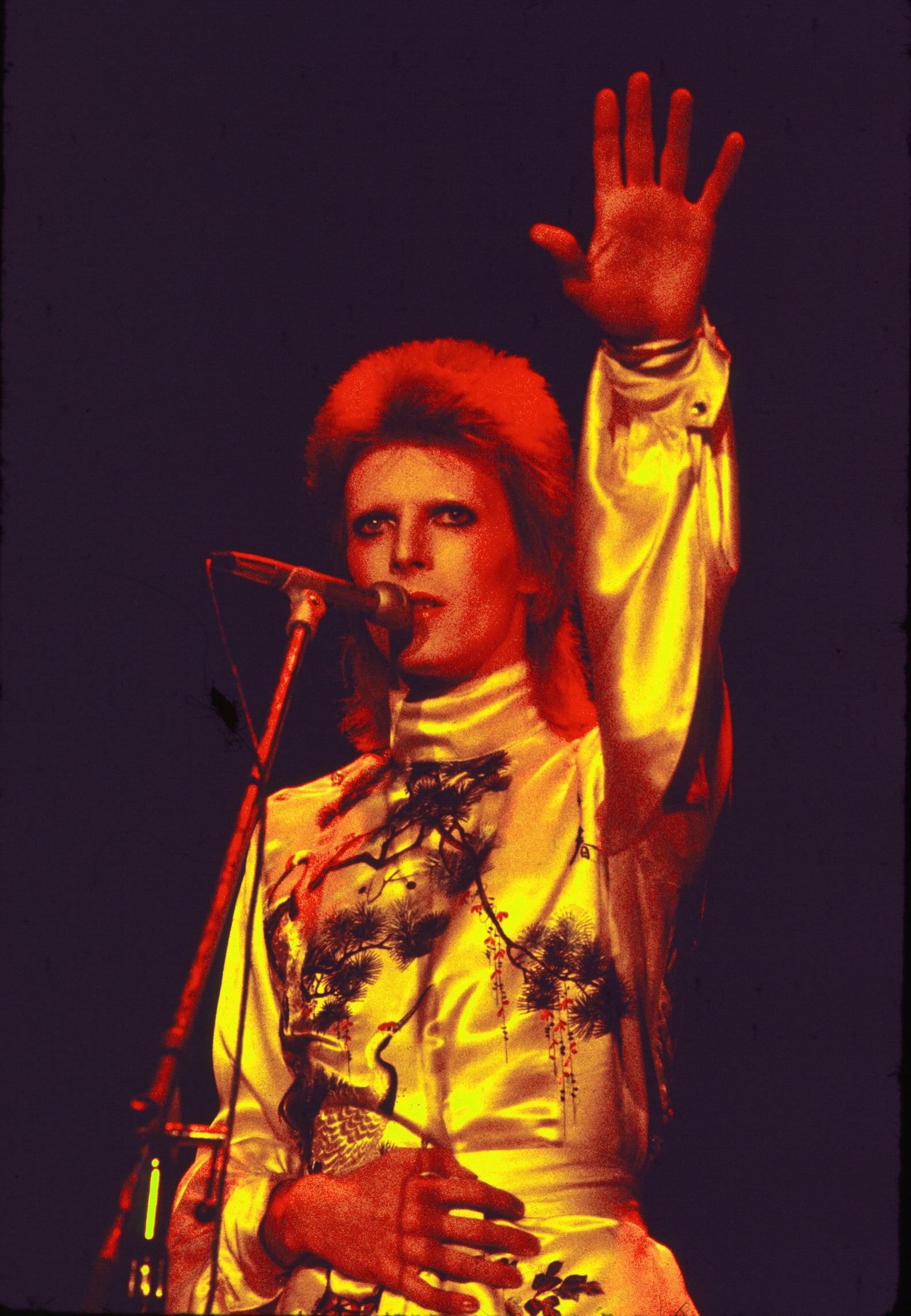 32 Iconic Musician Halloween Costume Ideas | PS Celebrity