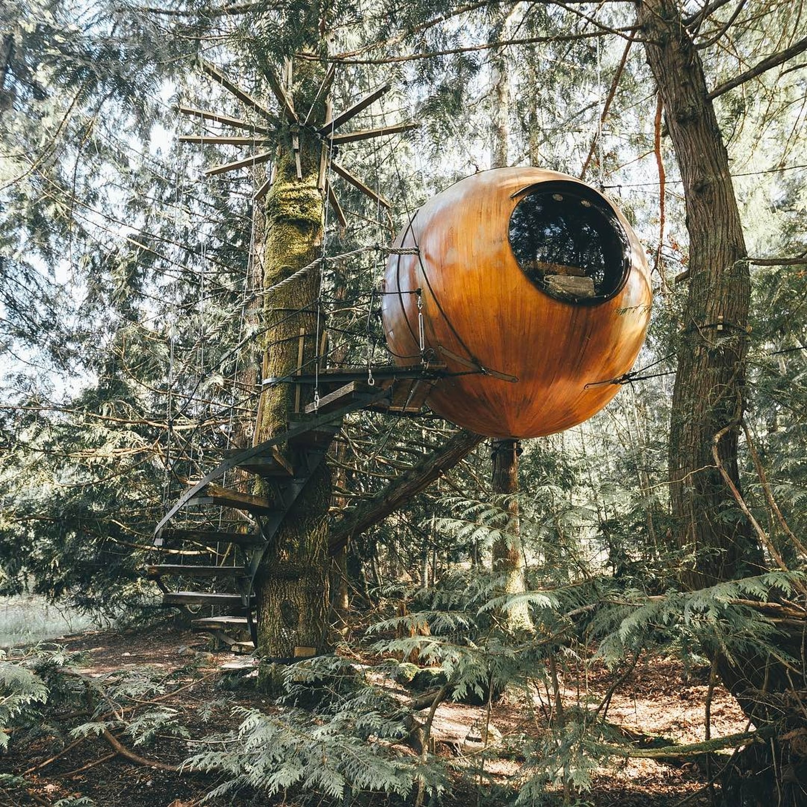 Best Treehouses Around the World | PS Smart Living