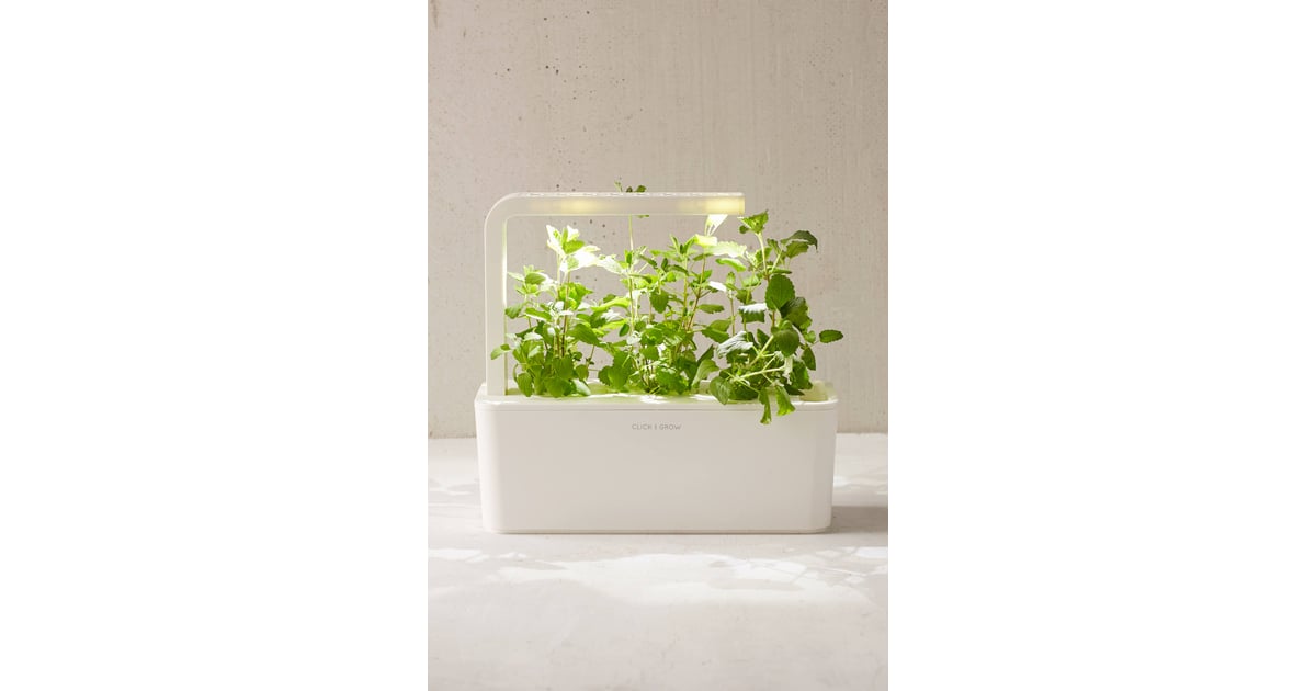 Click & Grow Plant Refill Cartridge | Best Gifts For Plant-Lovers ...