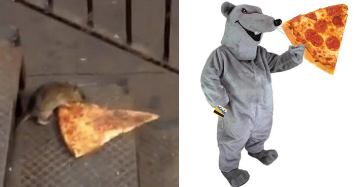 Pizza Rat in NYC Subway | POPSUGAR Tech