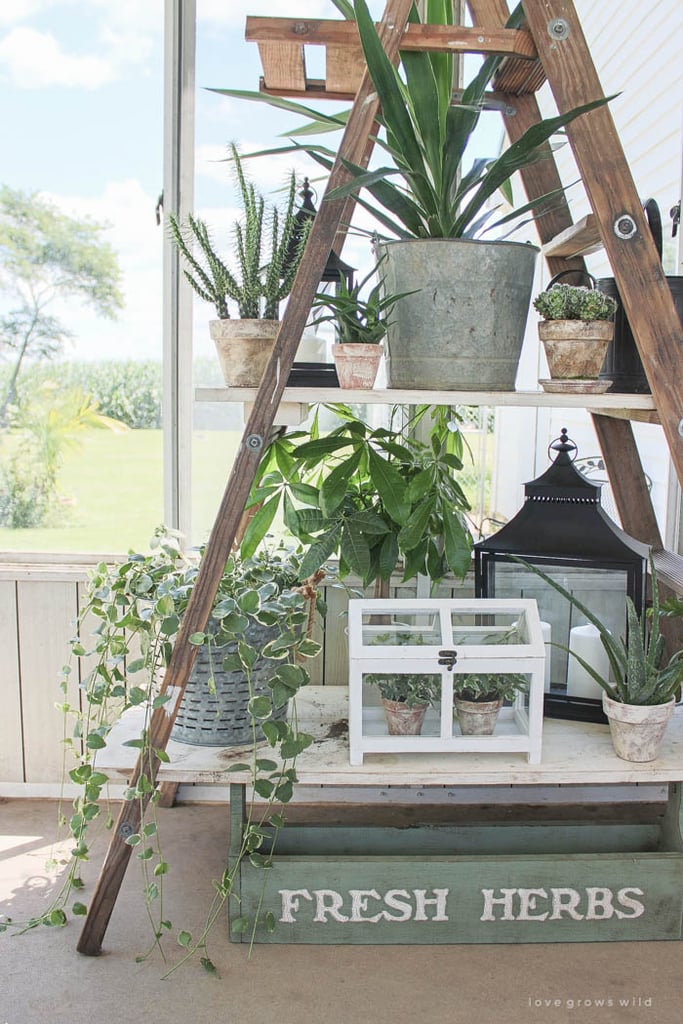 Places in the Home Mosquitoes Breed | POPSUGAR Home