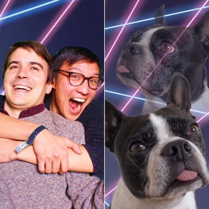 You Are Dog Now Twitter | PS Pets