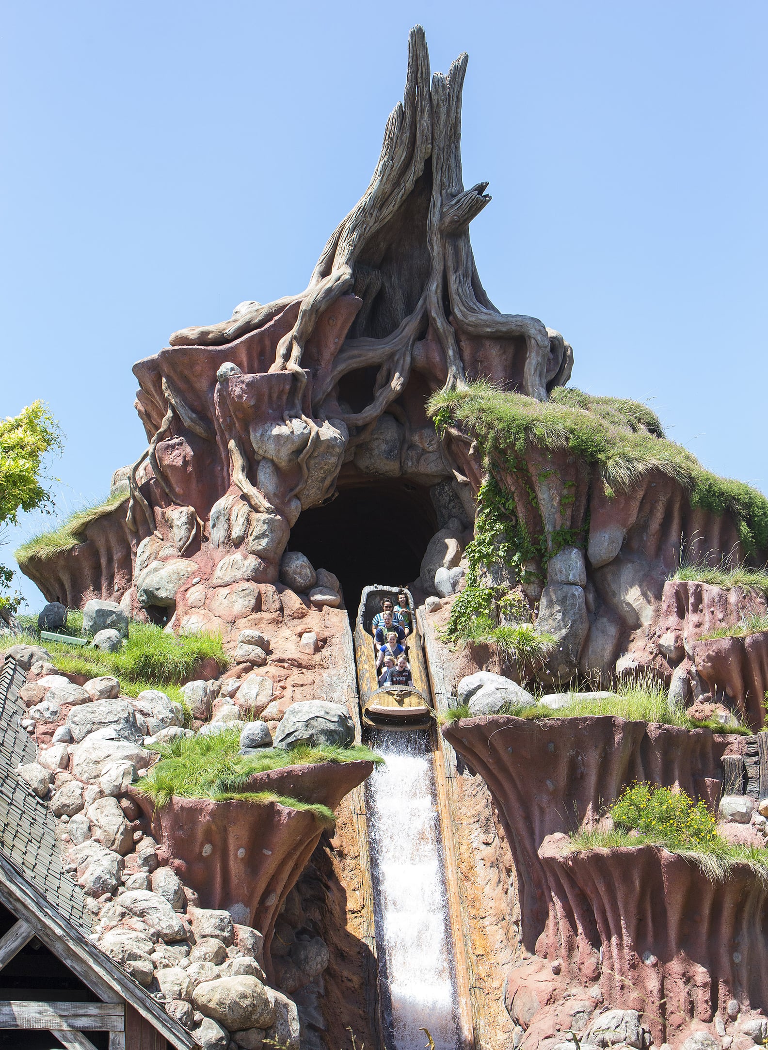 7 Fun Facts About Disney's Splash Mountain | PS Smart Living