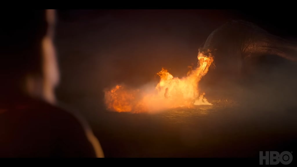 House of the Dragon: Vhagar, Explained | POPSUGAR Entertainment