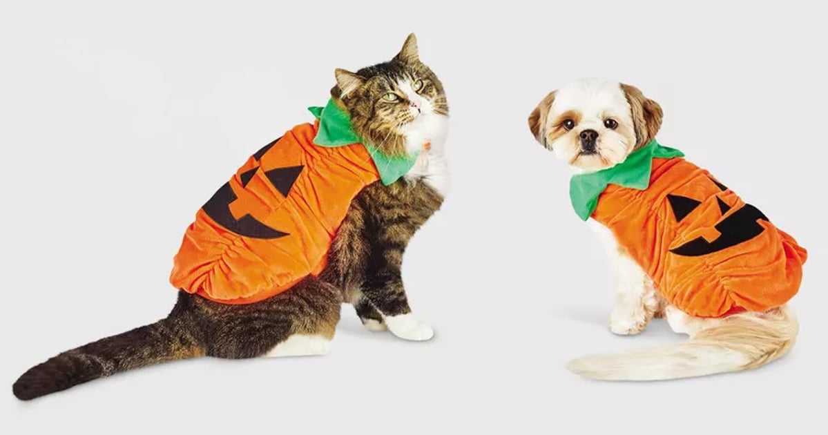 The Best Halloween Costumes For Pets | PS Pets