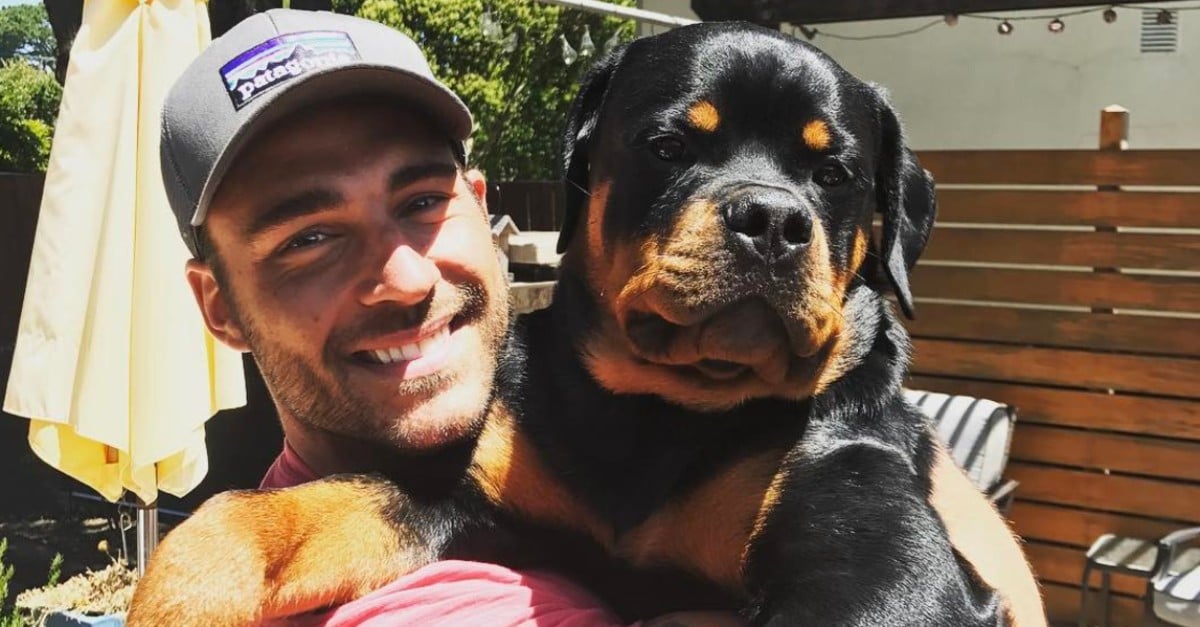 Ben Zorn's Dog From Bachelor in Paradise | PS Pets