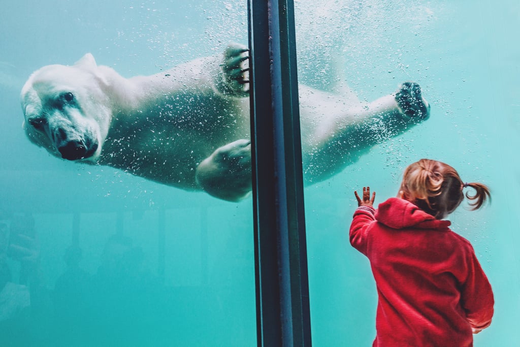 Go To The Zoo Winter Staycation Ideas For Families POPSUGAR UK 