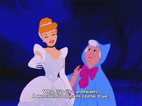 Disney Princess GIFs | PS Love