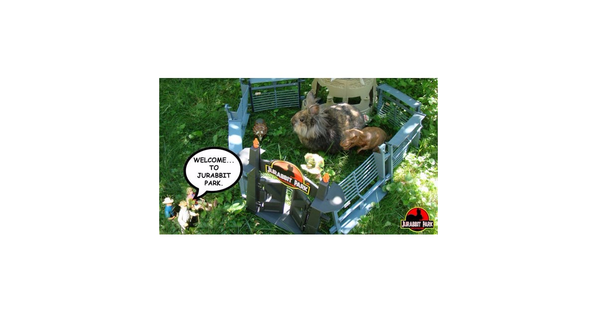 Jurassic Park With Rabbits | POPSUGAR Pets
