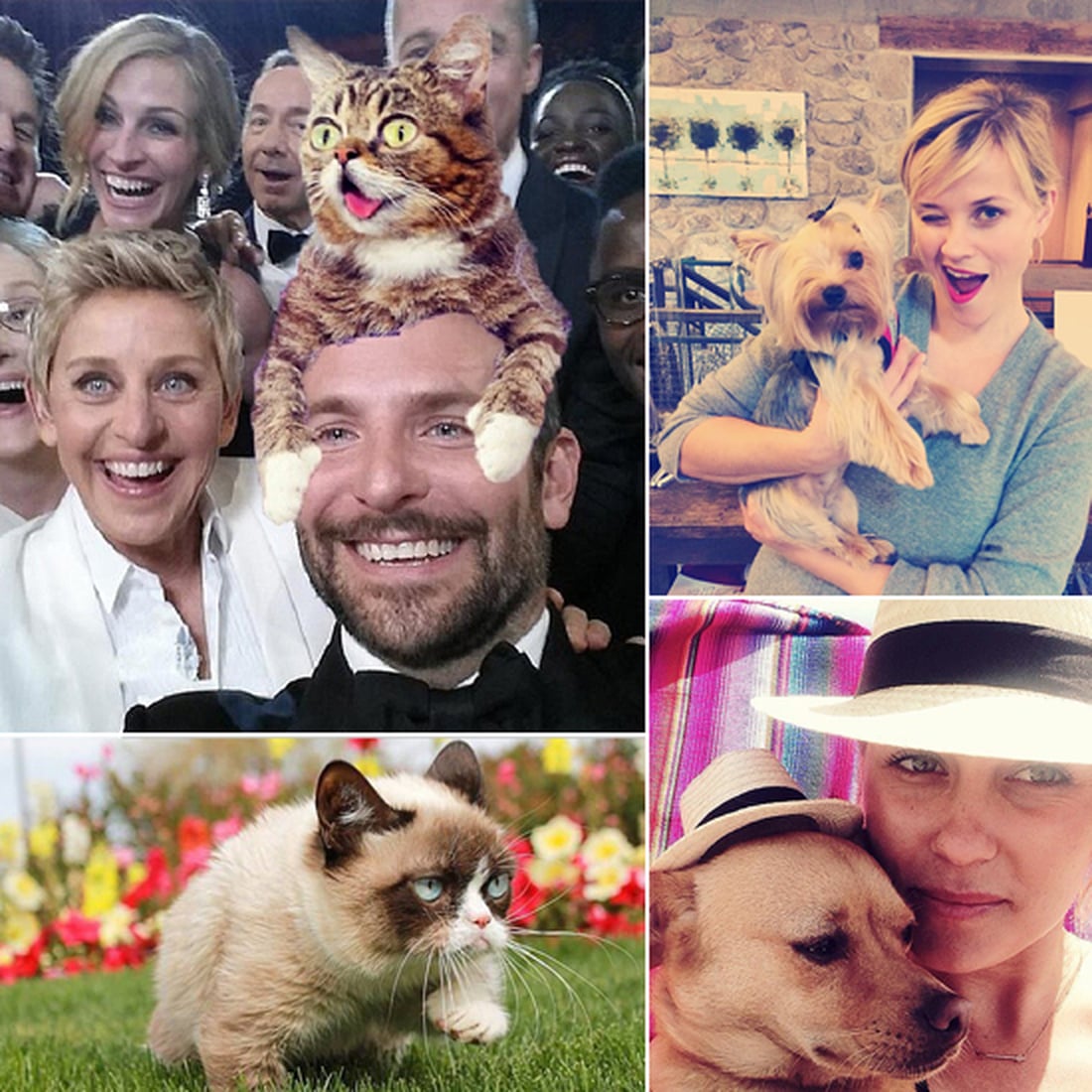 Celebrity Pets I March 2014 | PS Pets