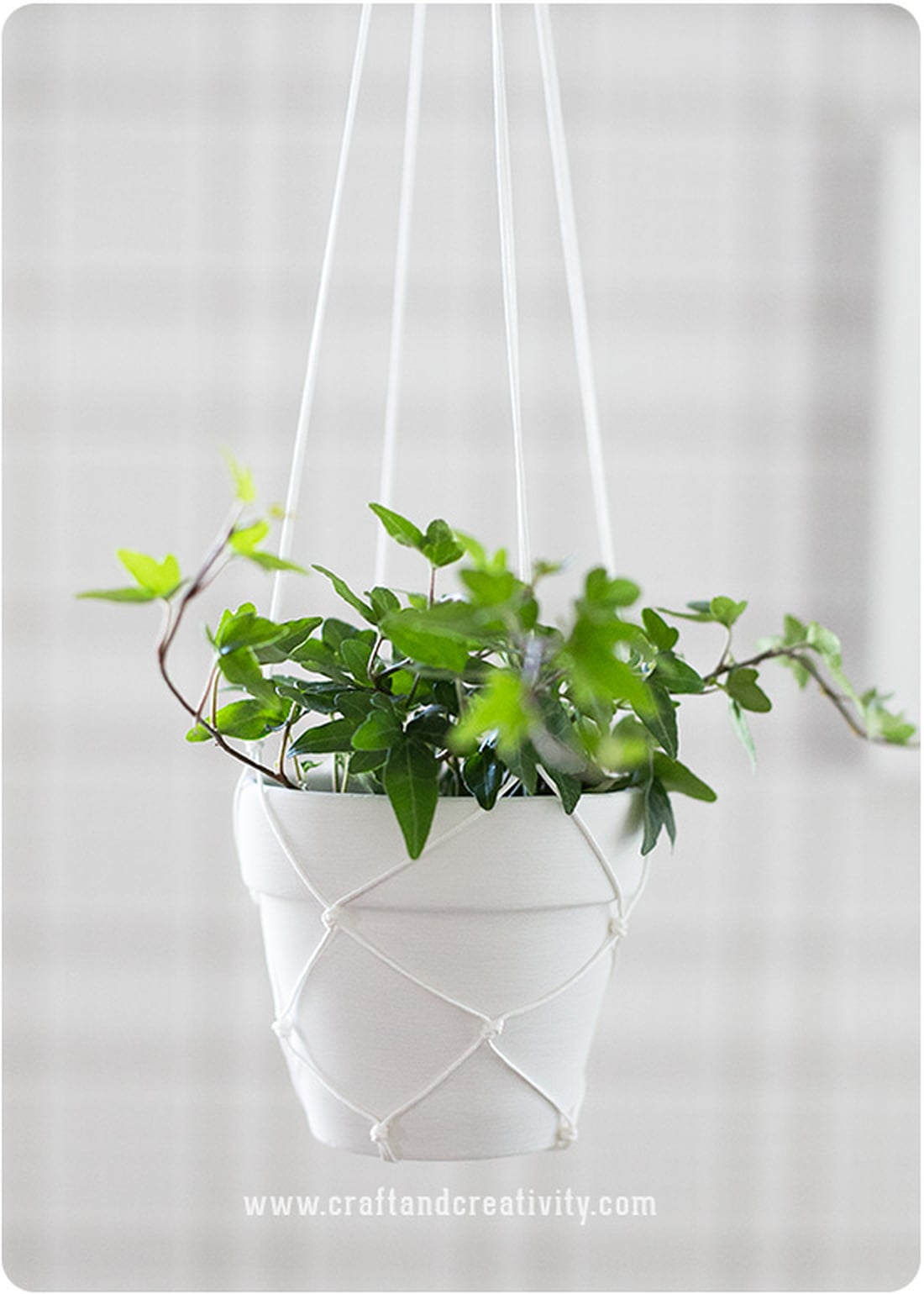 DIY Macrame Hanging Planter | PS Home