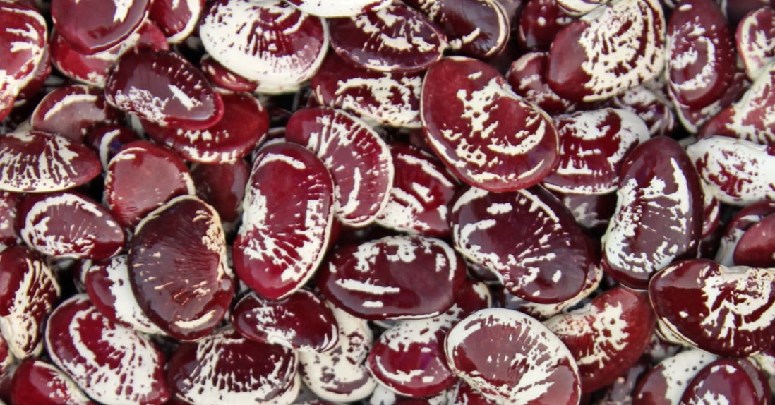 What Are Pulses? | POPSUGAR Food