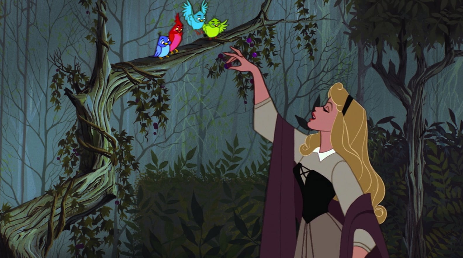 Sleeping Beauty History | PS Love