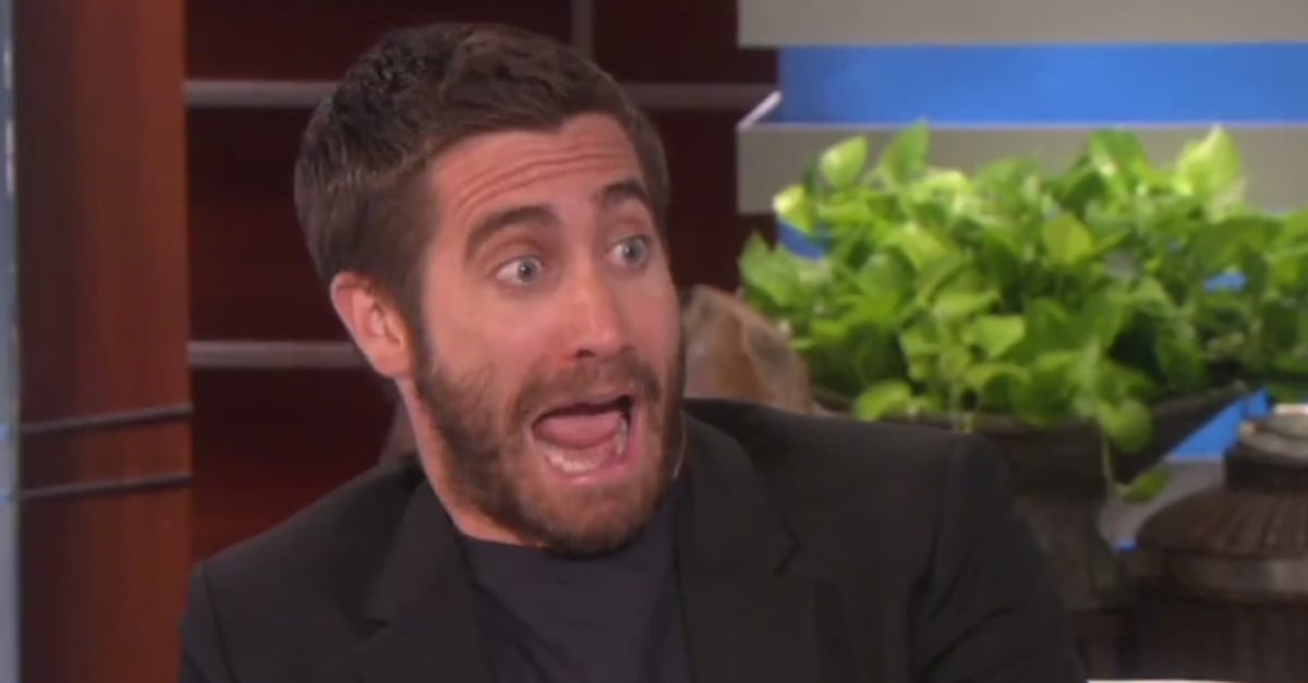 Jake Gyllenhaal Scared on The Ellen DeGeneres Show | POPSUGAR Celebrity