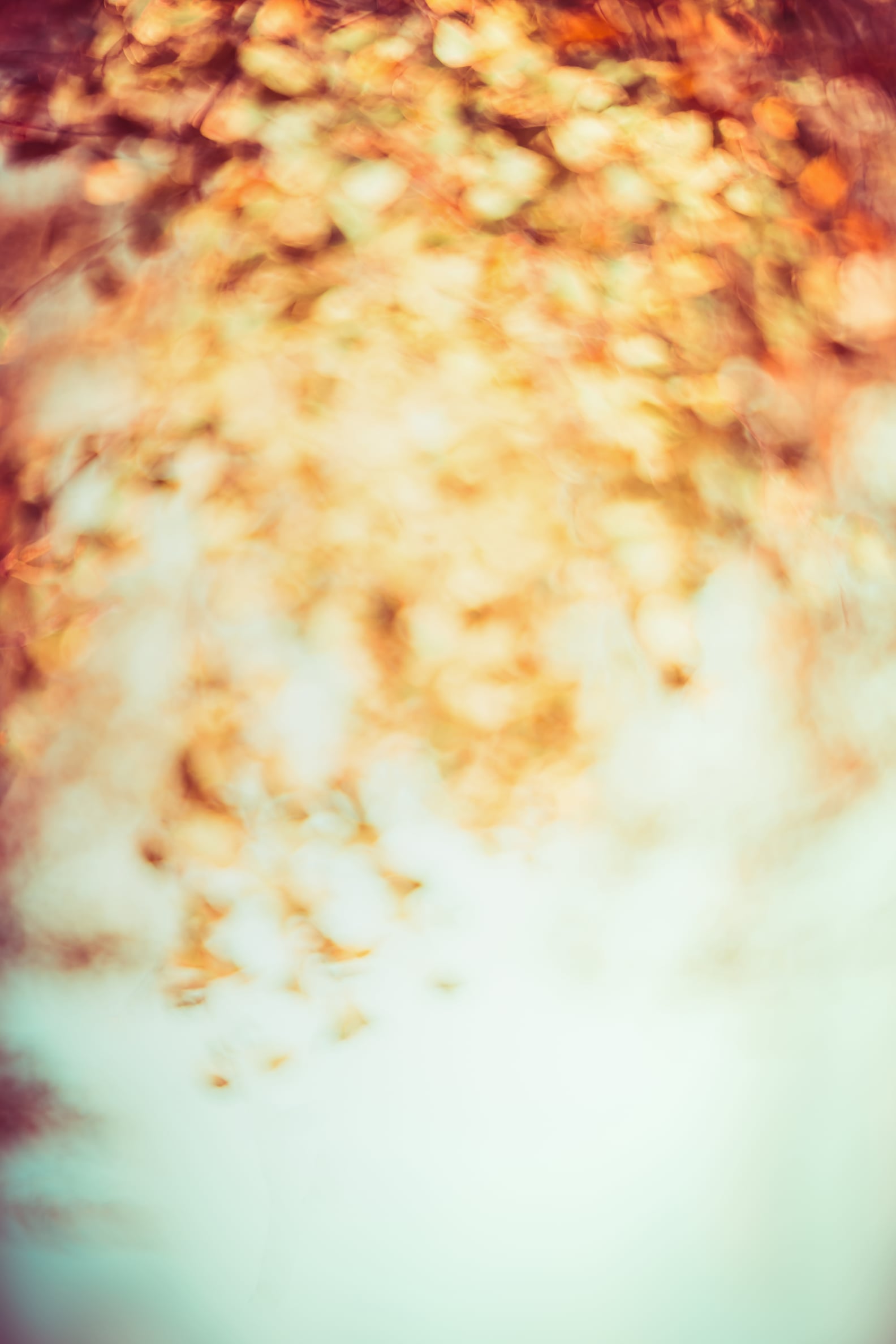 50 Fall iPhone Wallpapers | PS Tech