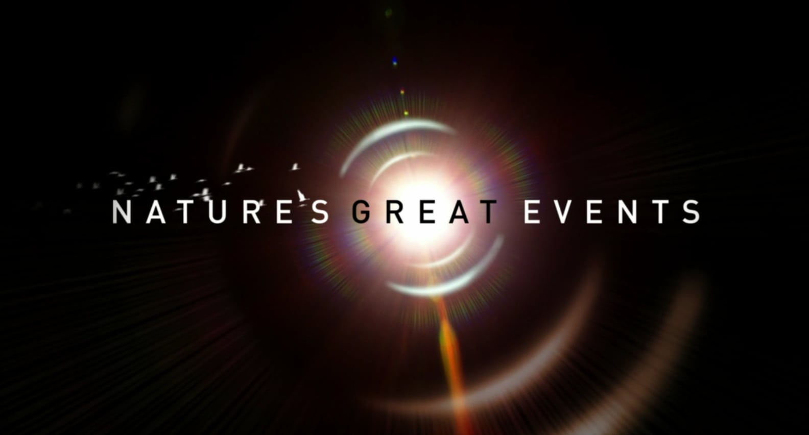 Science Shows to Watch on Netflix | PS Tech