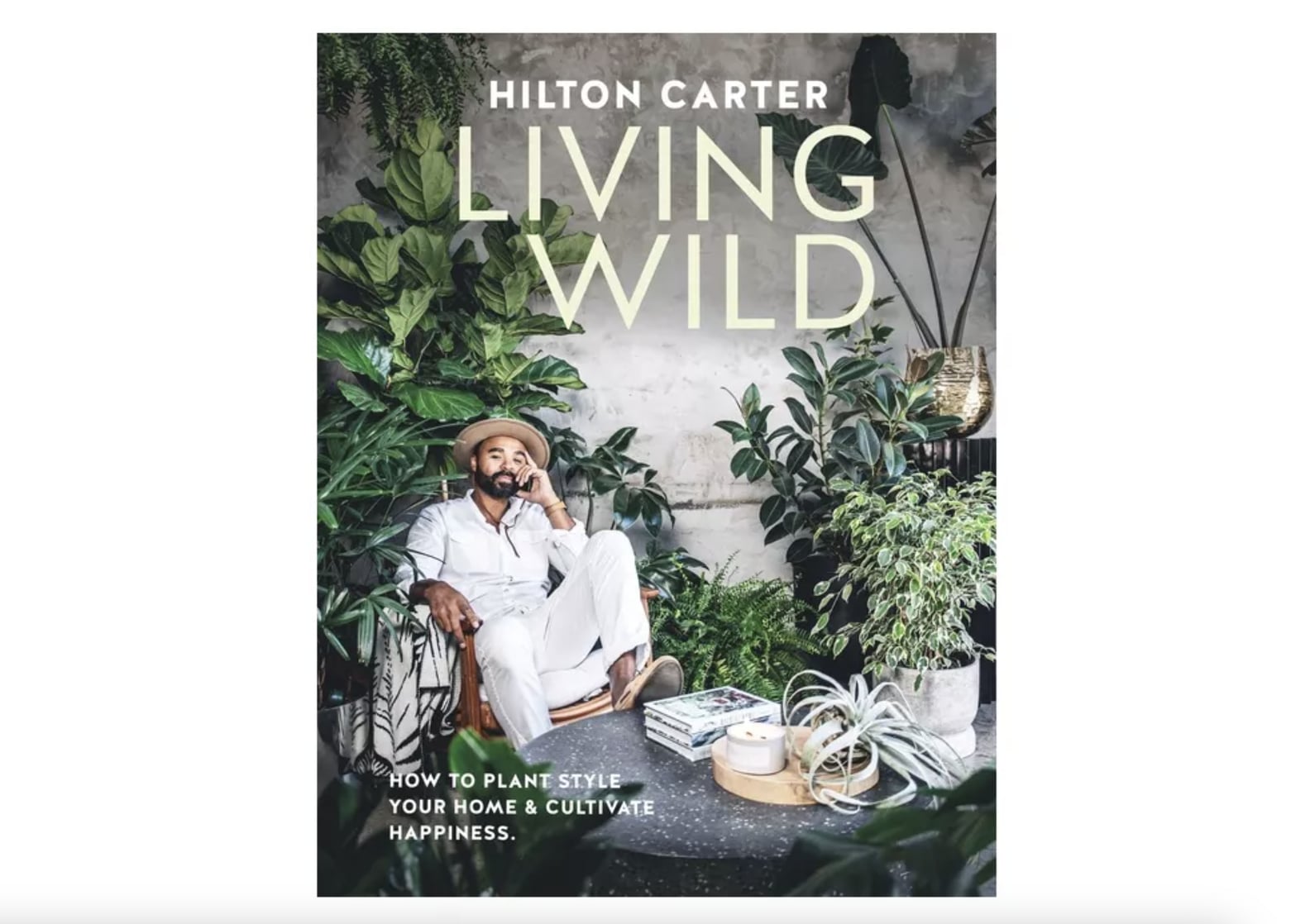 Hilton Carter For Target Home and Plant Collection | POPSUGAR Home