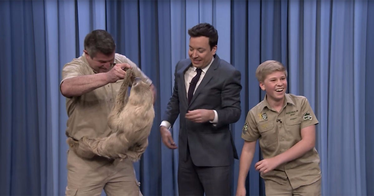 Robert Irwin on The Tonight Show February 2017 | PS Celebrity