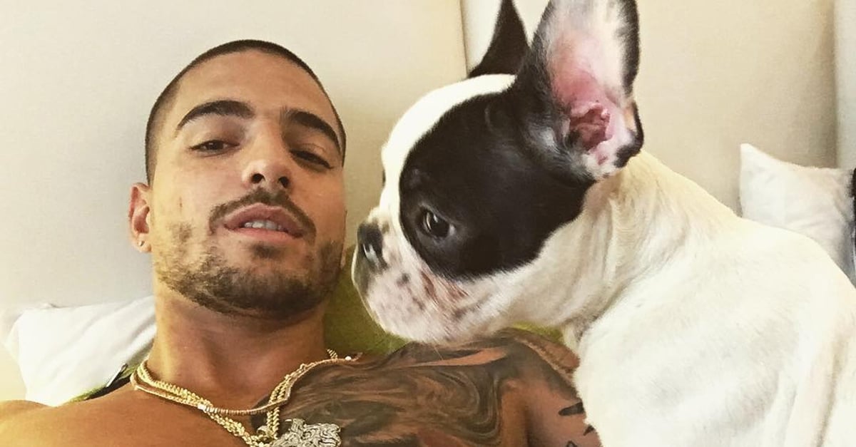Maluma's Dog, Priti | PS Latina
