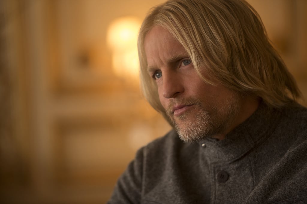 The Hunger Games: Mockingjay — Part 2 Pictures | POPSUGAR Entertainment