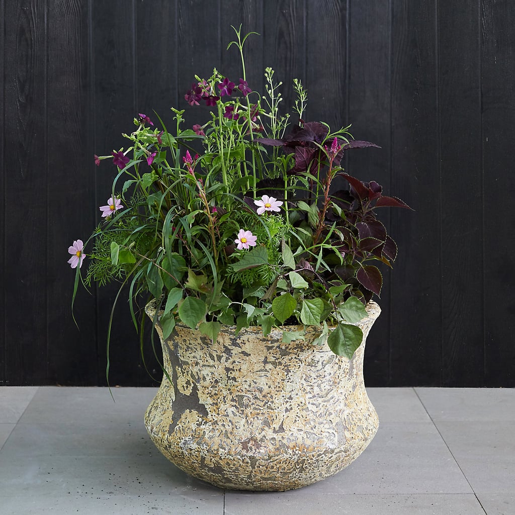 Best Outdoor Planters From Terrain | POPSUGAR Home UK