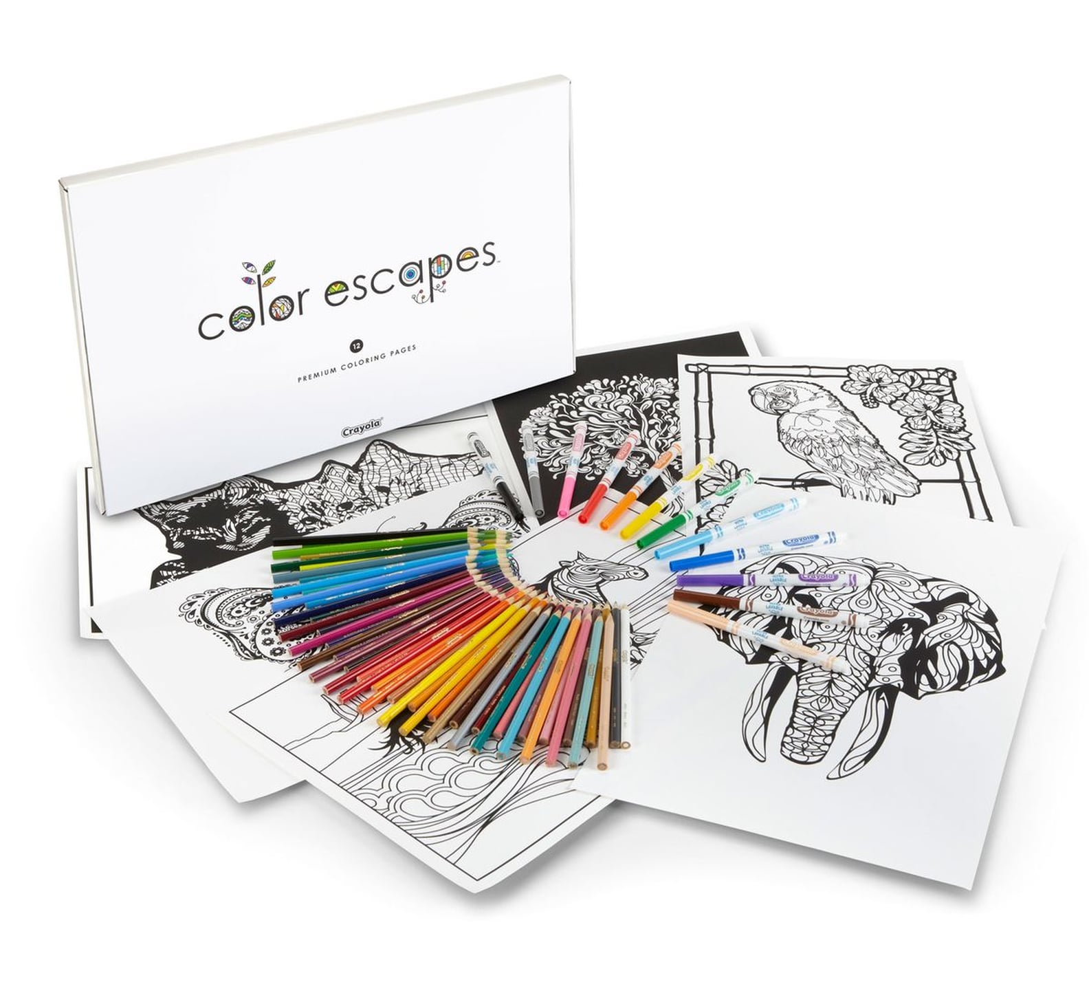 Crayola's New Coloring Book Kit | PS Smart Living