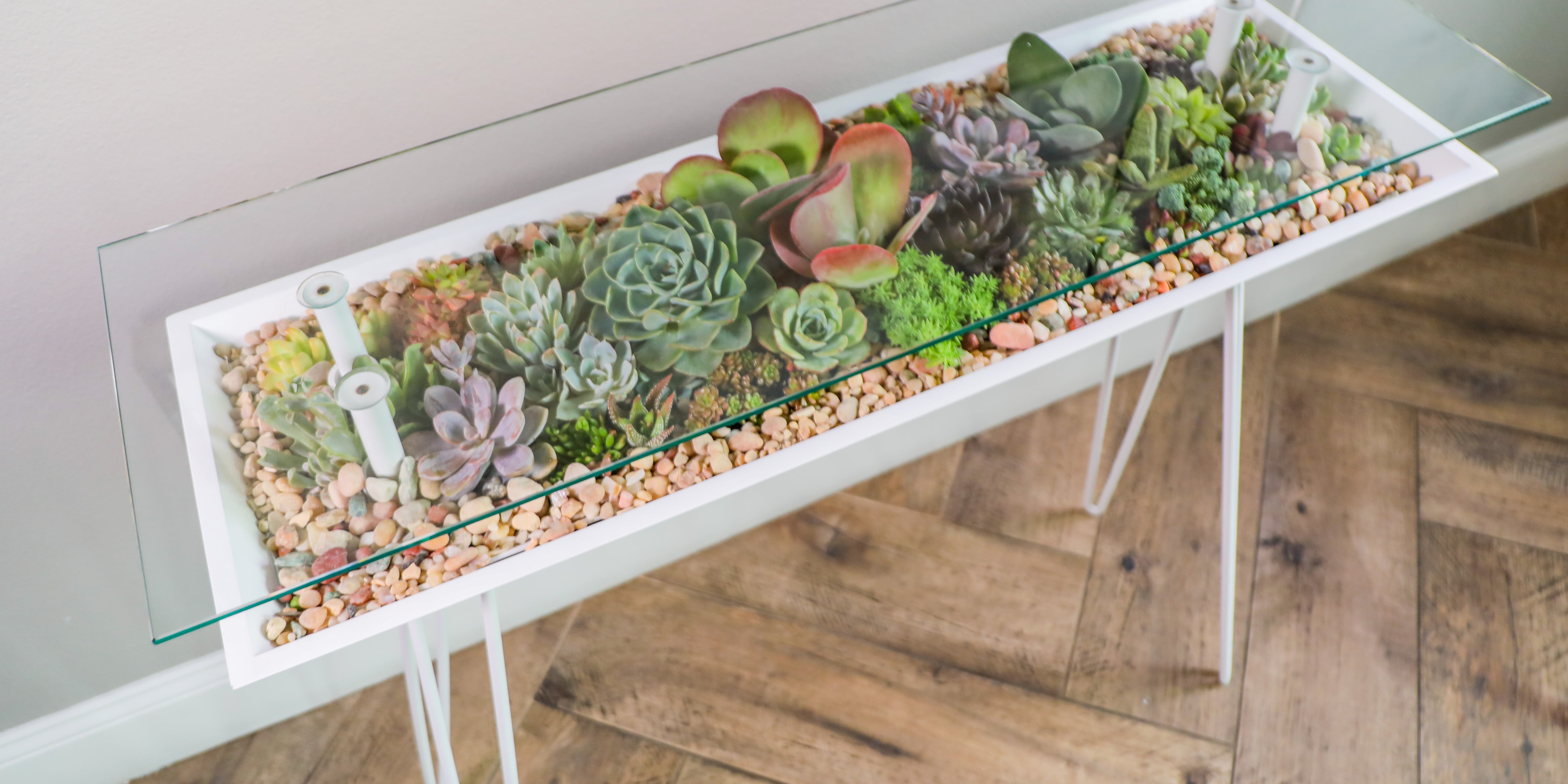 These Sleek BloomingTables Double as Succulent Planters | PS Home