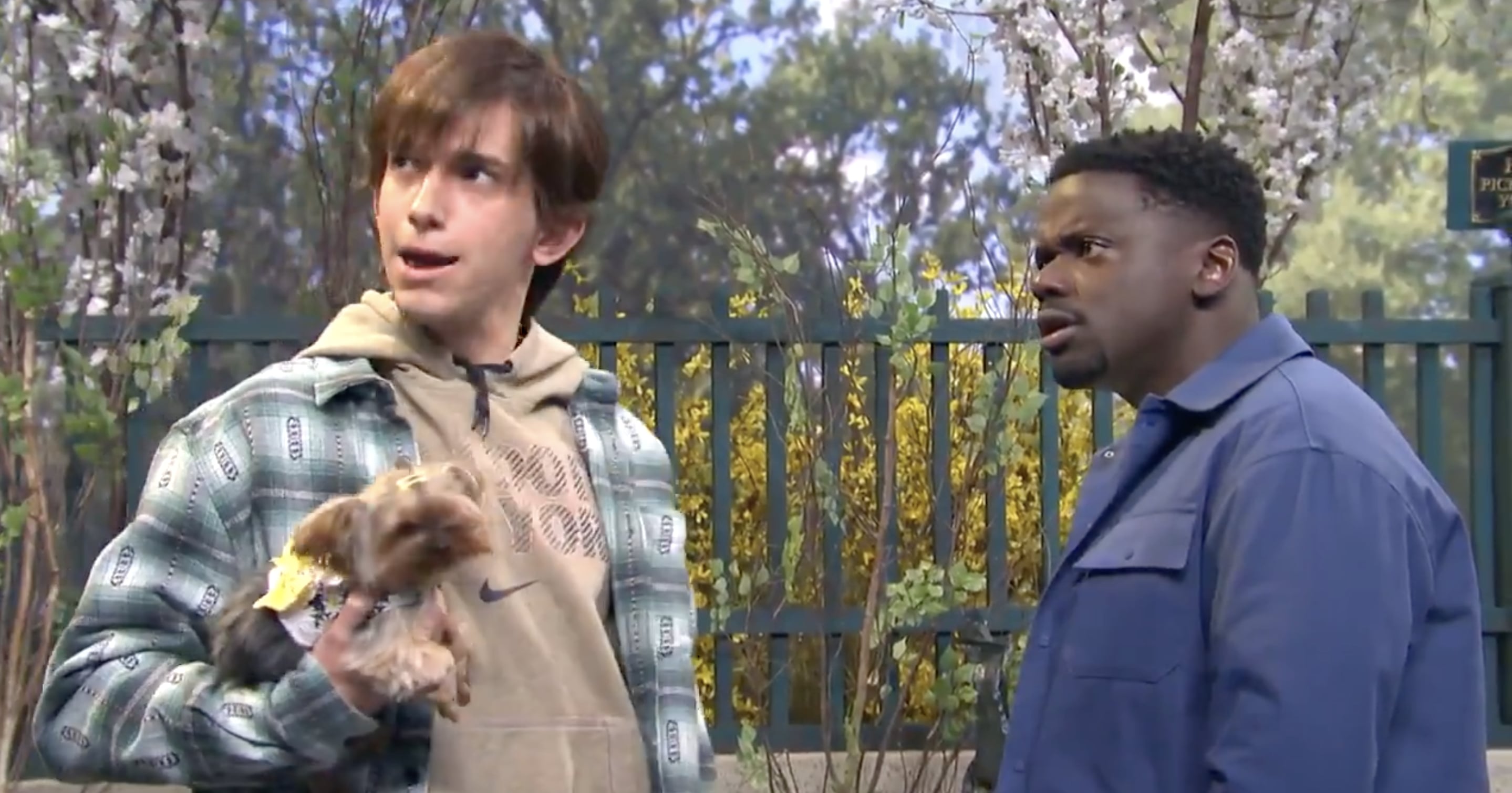 Watch Daniel Kaluuya's SNL Dog Park Sketch | Video | PS Entertainment