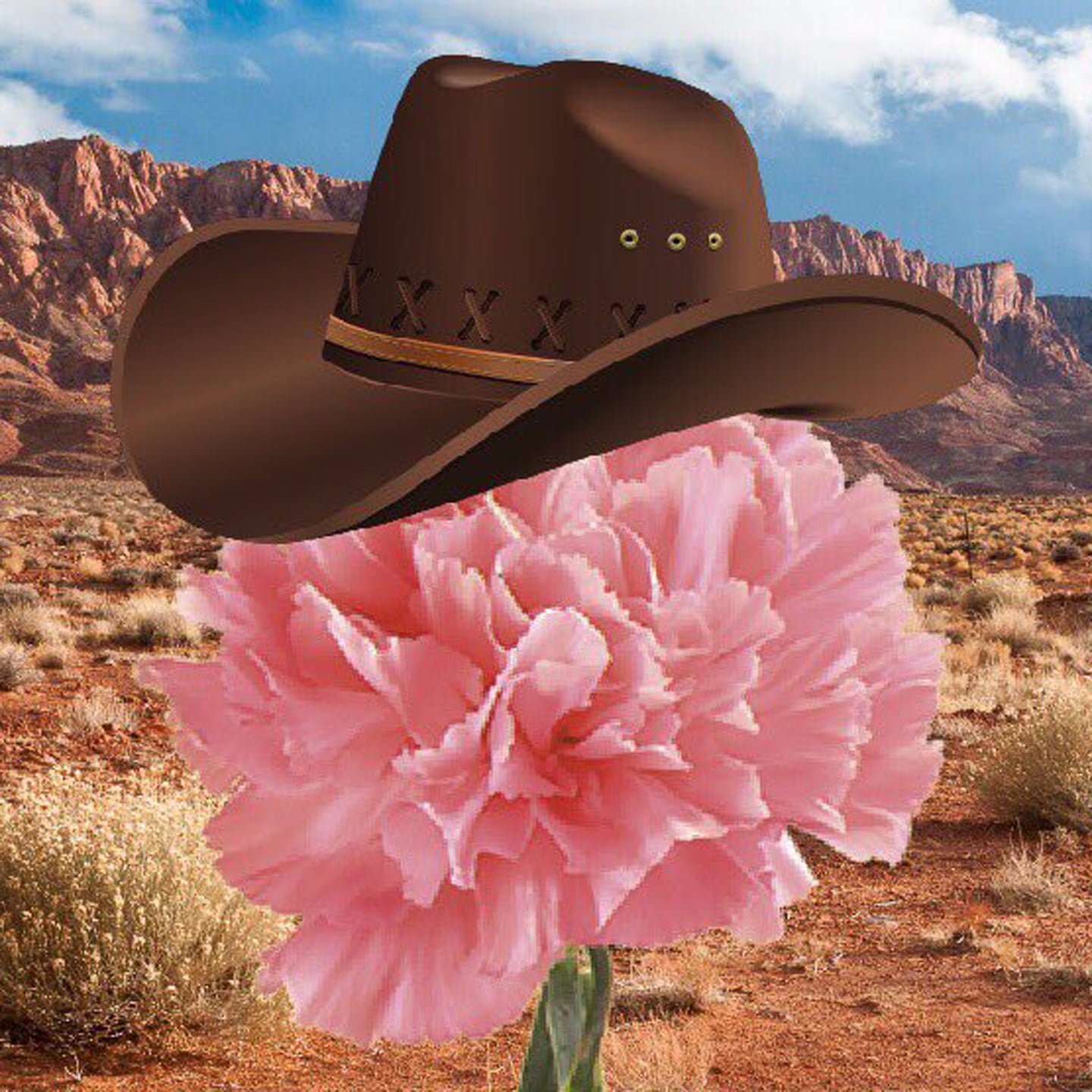 Best What in Tarnation Memes | PS Tech