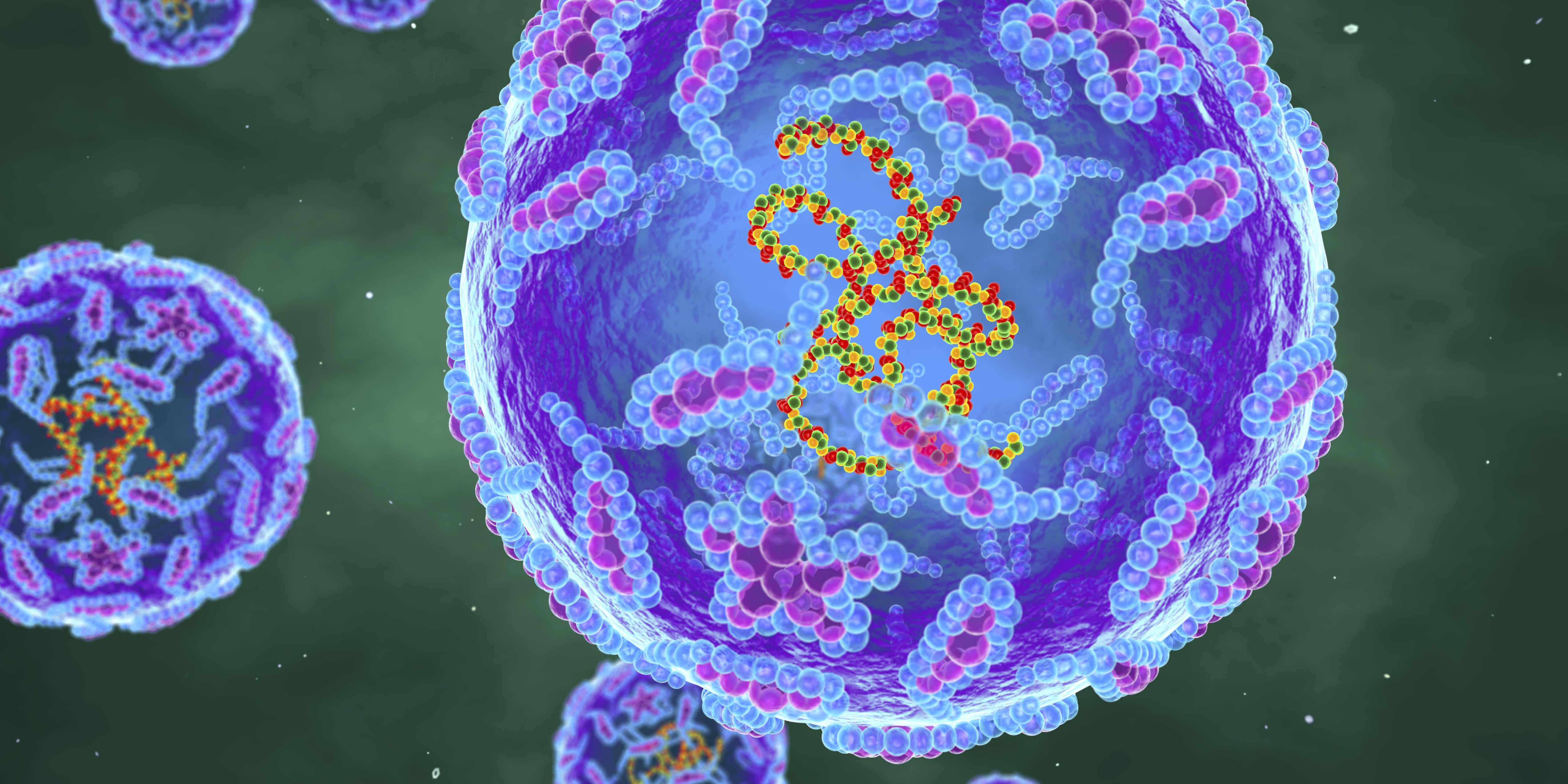 First US Polio Case in a Decade Appears in New York | POPSUGAR Fitness