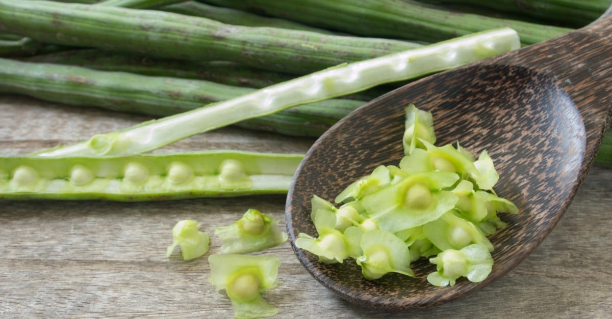 Benefits of Moringa | PS Fitness