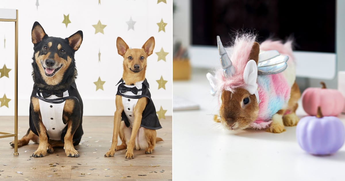 The Best Halloween Costumes For Pets | POPSUGAR Pets