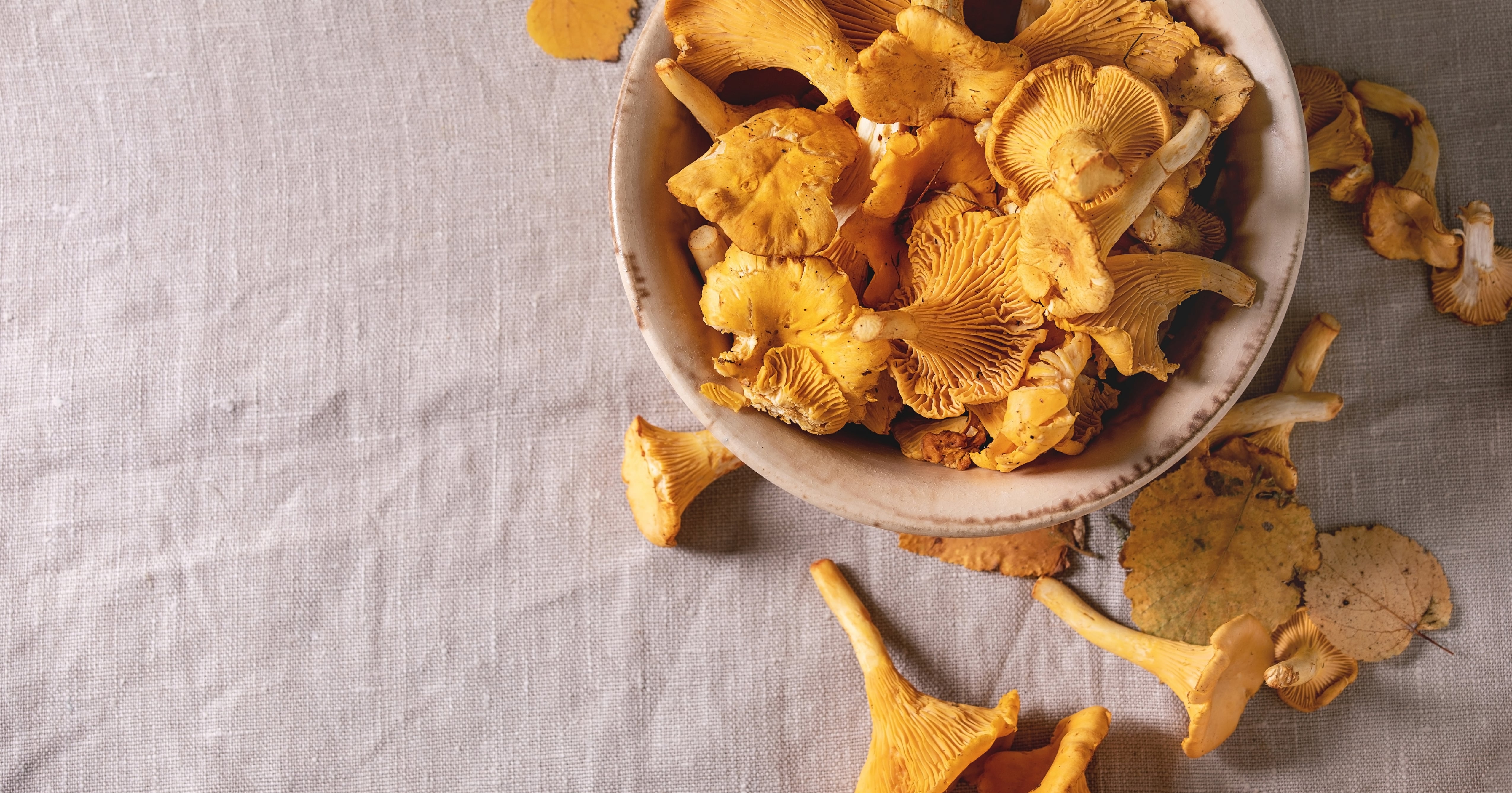 Fall Produce Guide | PS Food