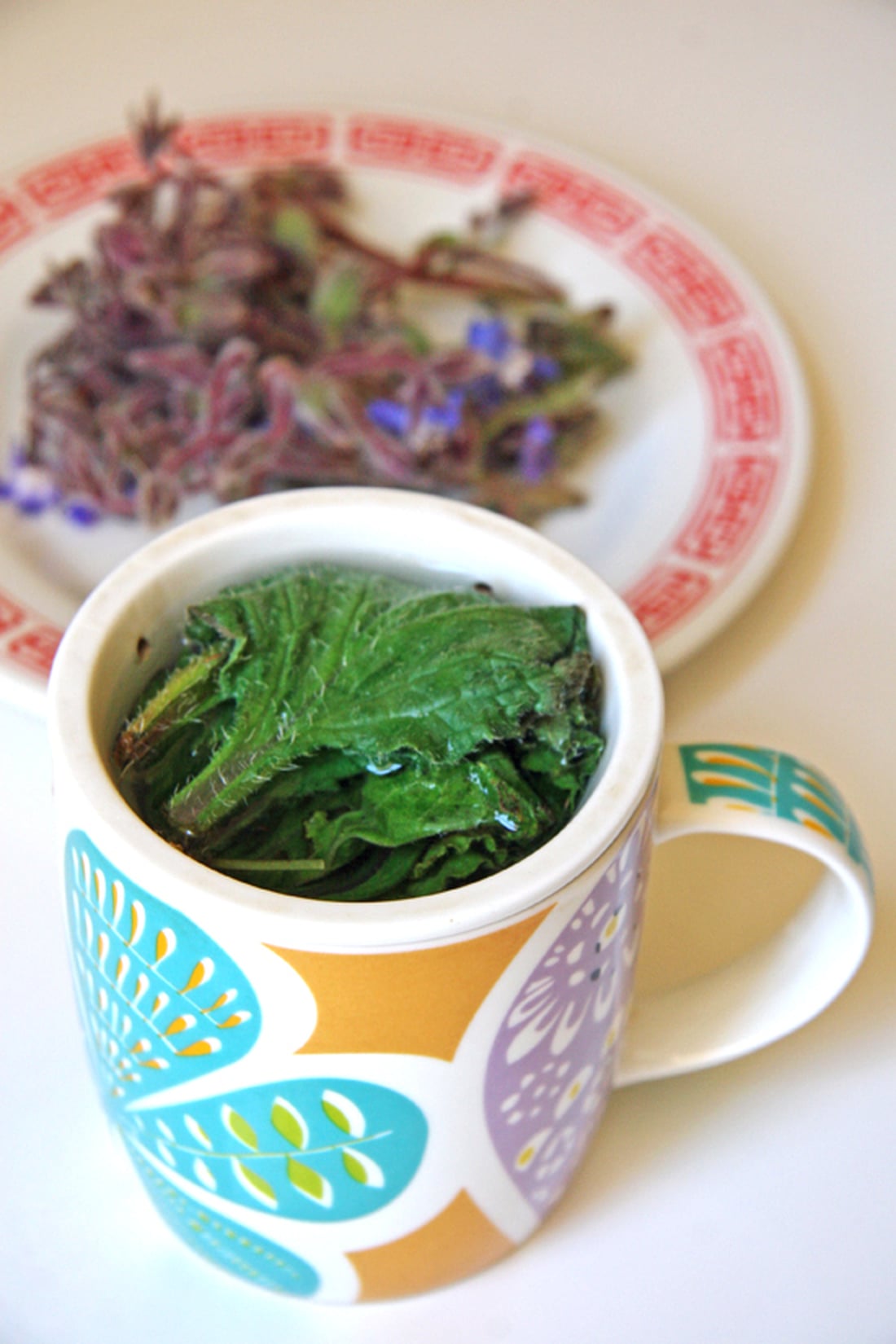 Uses For Borage | PS Food