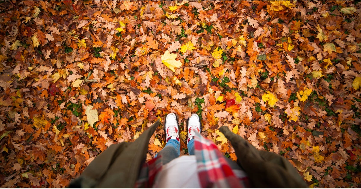 How to Rake Leaves With Cardboard | POPSUGAR Home