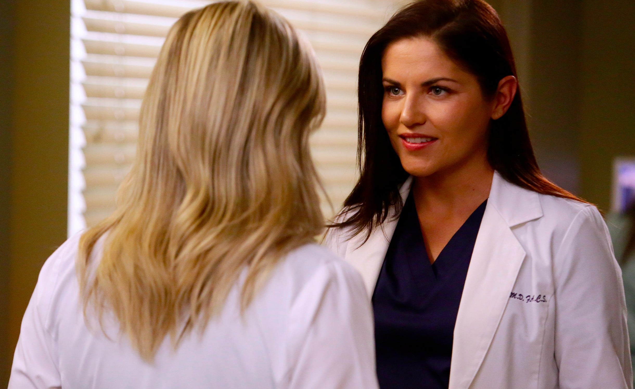 Jessica Capshaw on Her New Grey's Anatomy Love Interest | POPSUGAR ...
