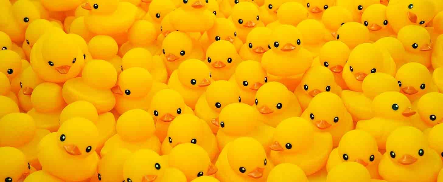 Funny Duck Army Vine | PS Tech