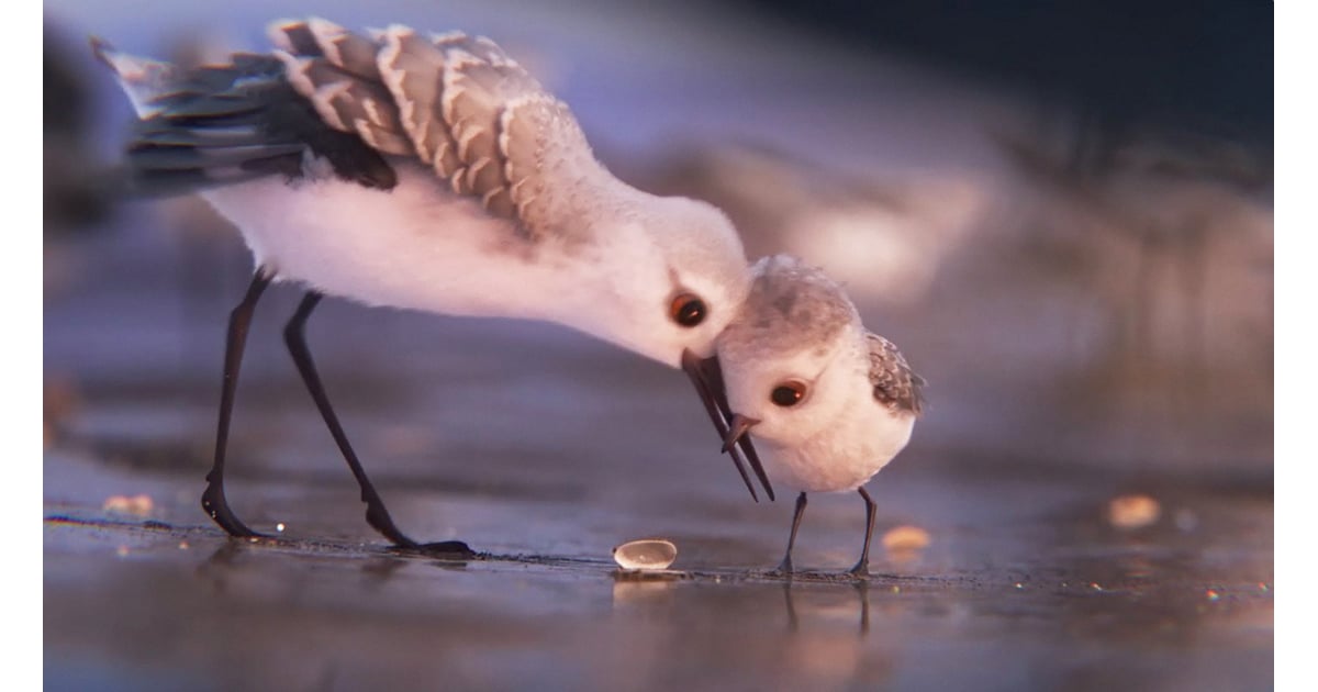 Piper | The Best Pixar Short Films | POPSUGAR Entertainment UK Photo 15